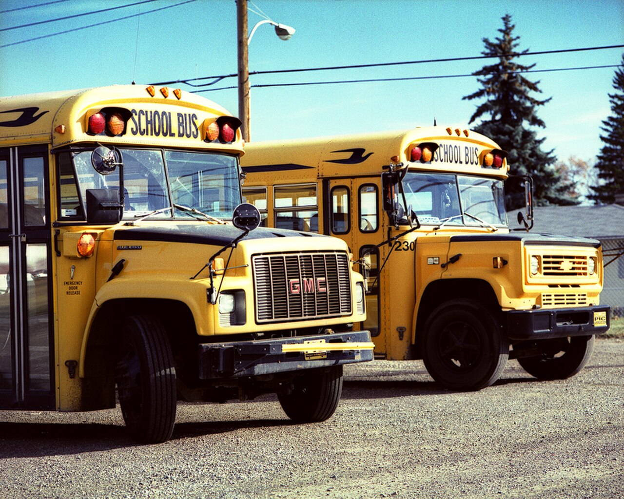 Why Are School Buses Yellow? The Story Behind the Icon — Proton Bus Mods